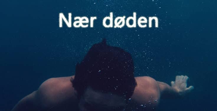 Mose på taket | John Steffensen