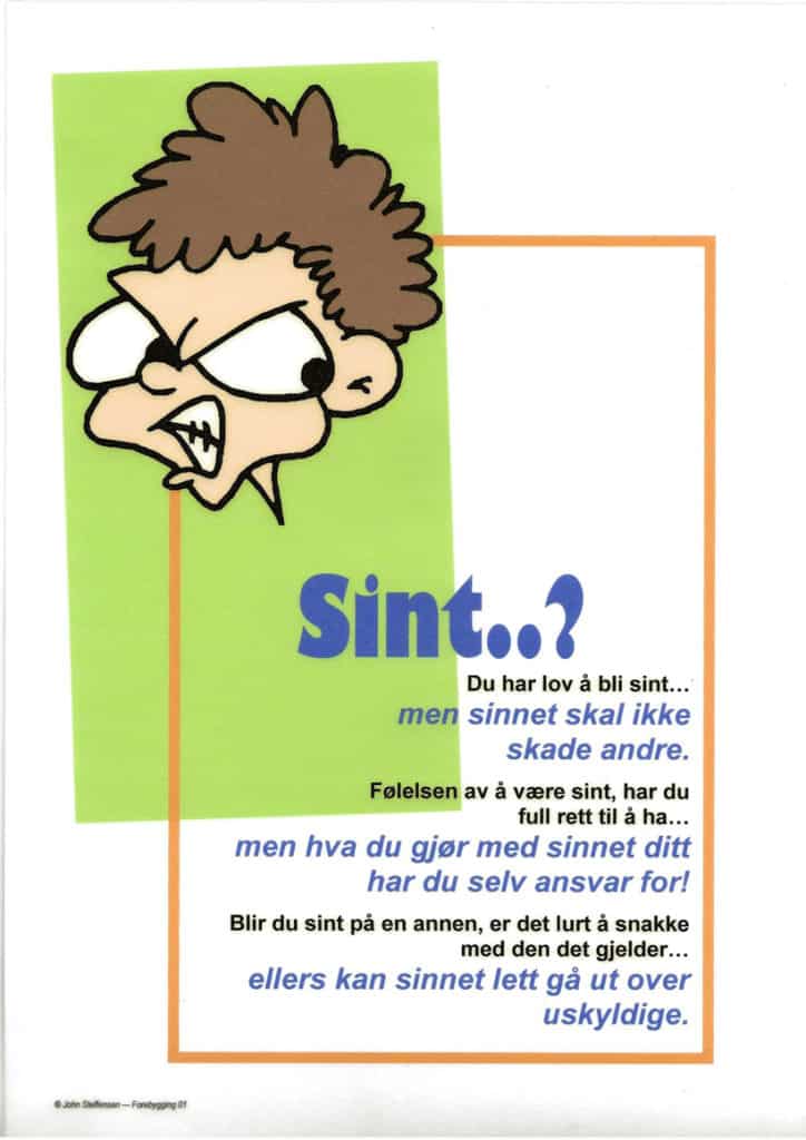 Sint. Følelsen av å være sint, har du full rett til å ha. Men... | John ...