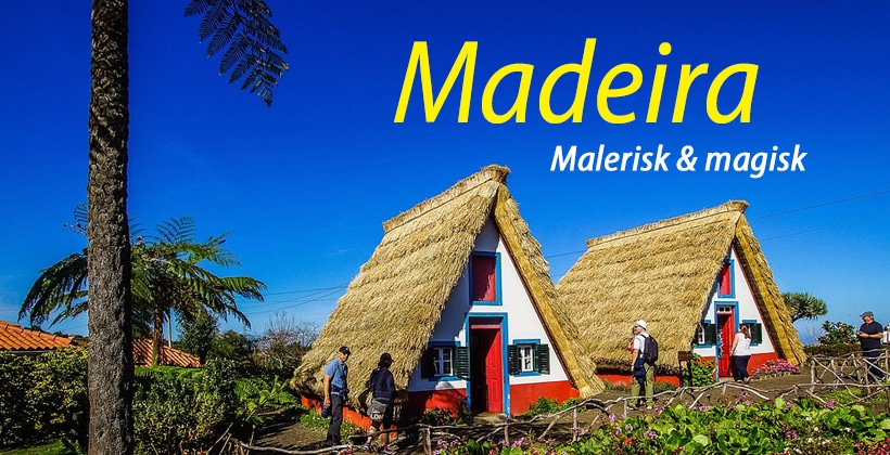 Madeira. Malerisk og magisk | John Steffensen